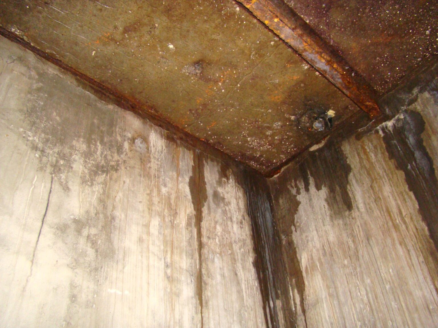 ZSSS » Dobro je vedeti: Plesen je zdravju škodljiva